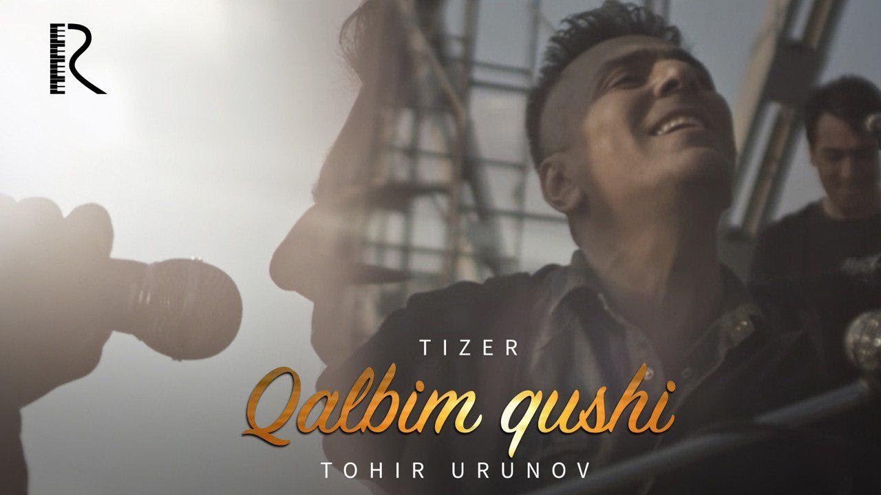 Tohir Urunov - Qalbim qushi (tizer) | Тохир Урунов - Калбим куши (тизер ...