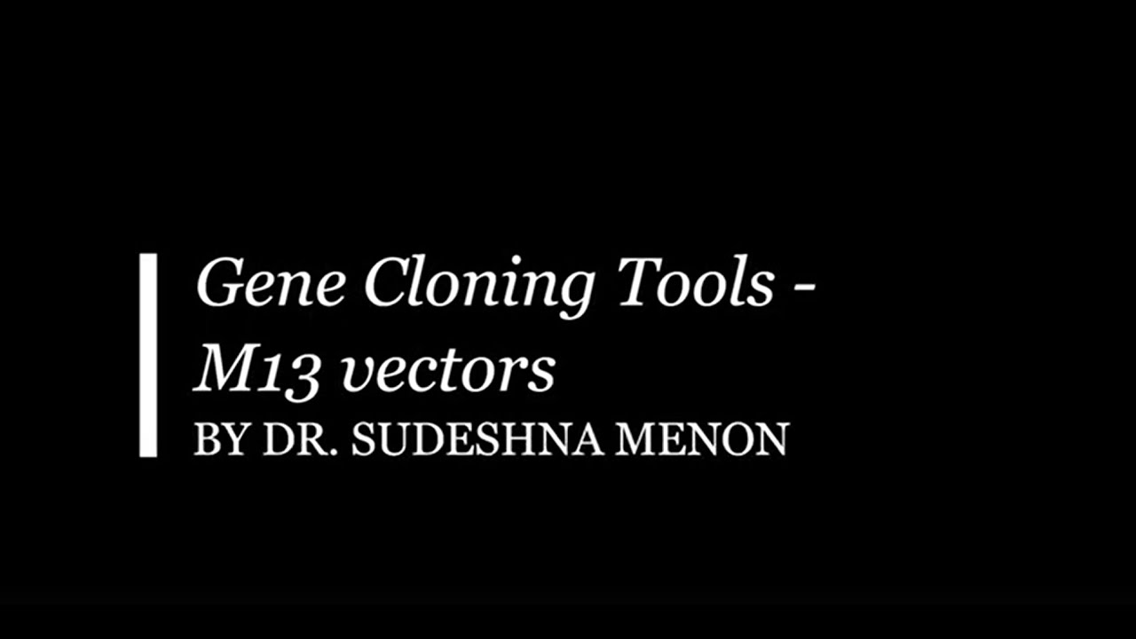 Gene Cloning Tools M13 vectors - YouTube