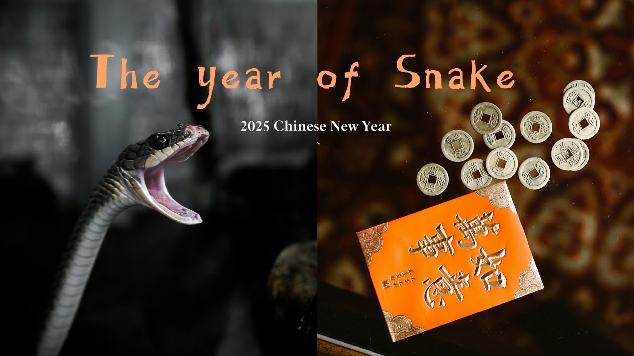 Lunar New Year | China | US Relationship | The Year Of Snake | God's ...