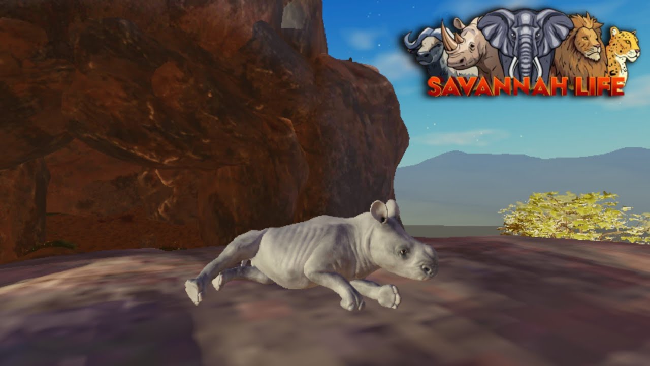 Play as a rhino in Savannah life | Rhino Gameplay - YouTube