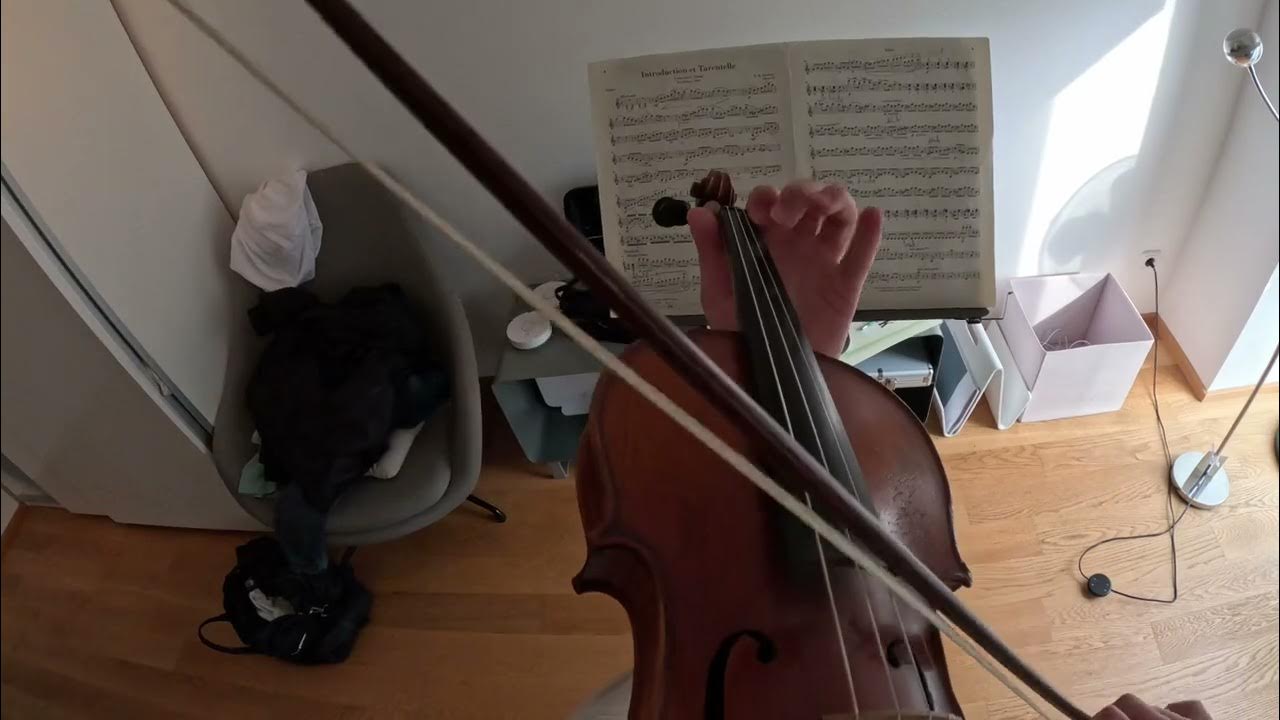 Winter Vivaldi Four Seasons - POV Violin - YouTube
