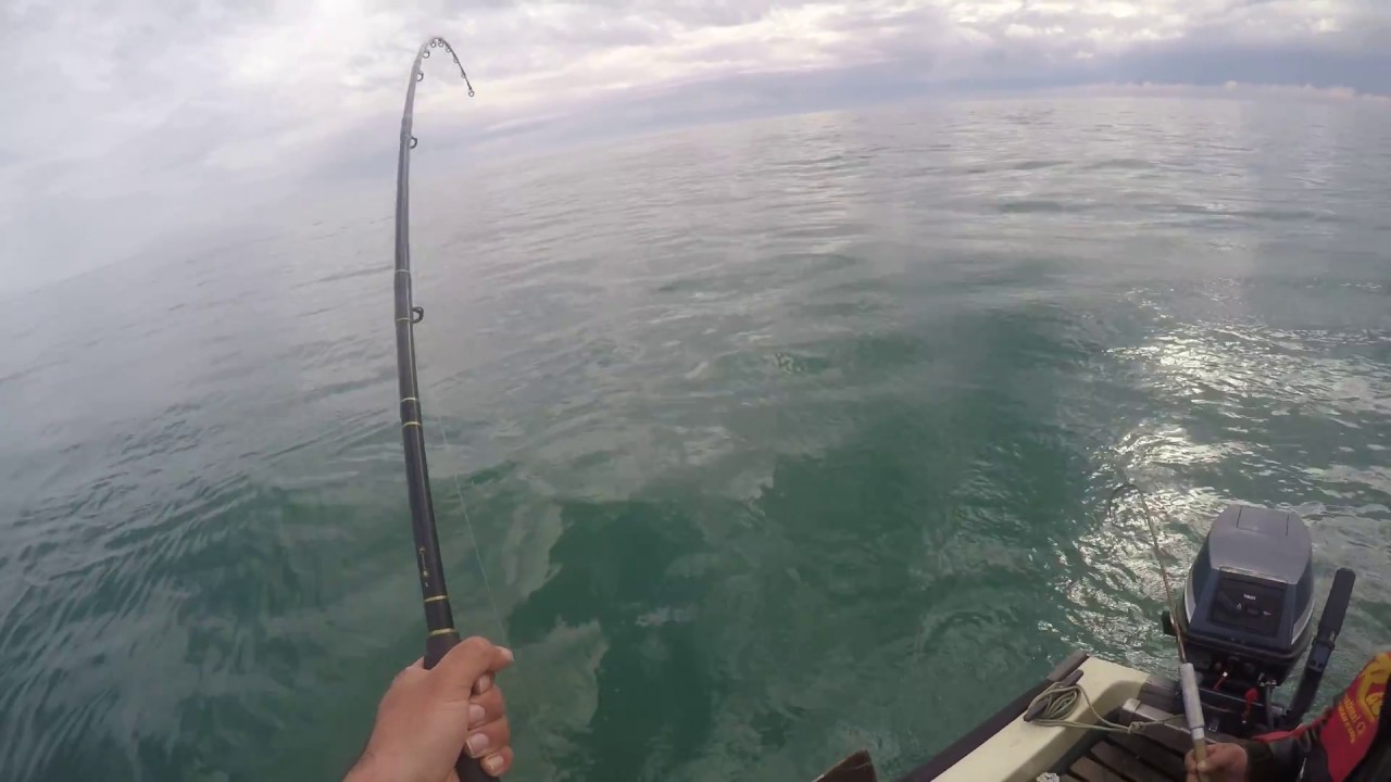 Leerfish - (Lica) - 22kg Montenegro Ulcinj - YouTube