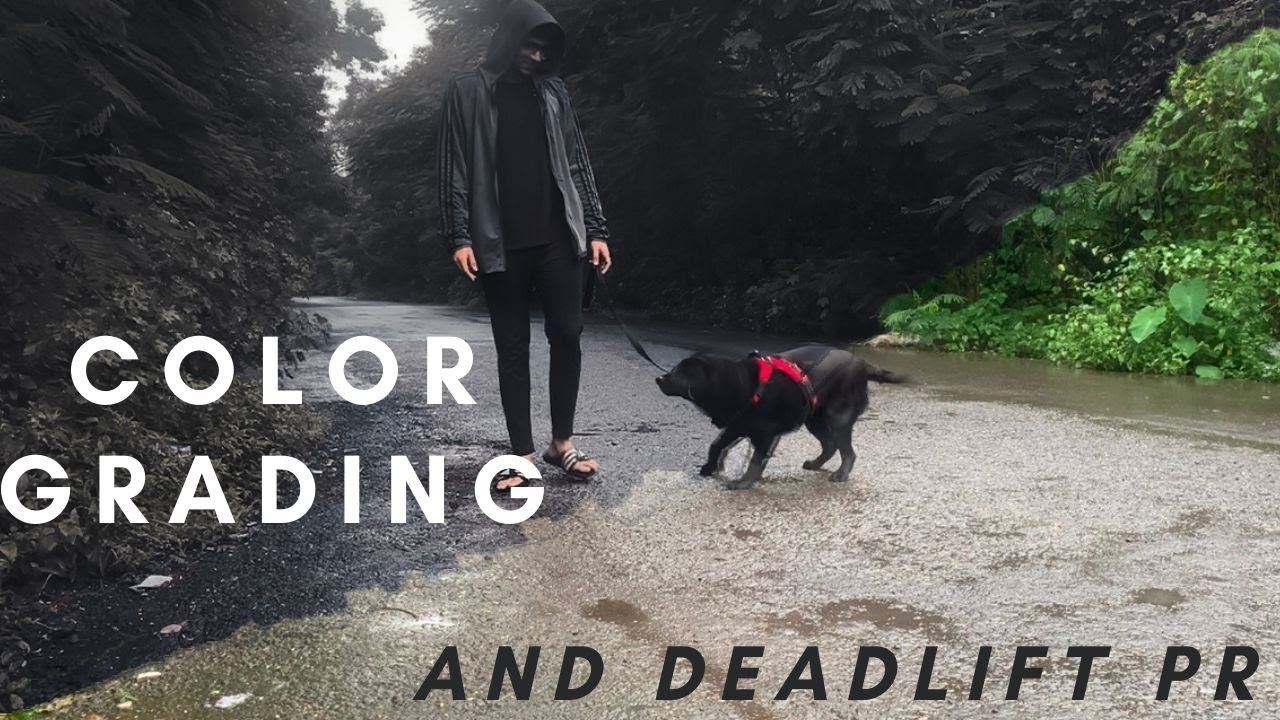 COLOR GRADING AND DEADLIFT PR || DAVID LAID DUP PROGRAM AND FULL BACK ...