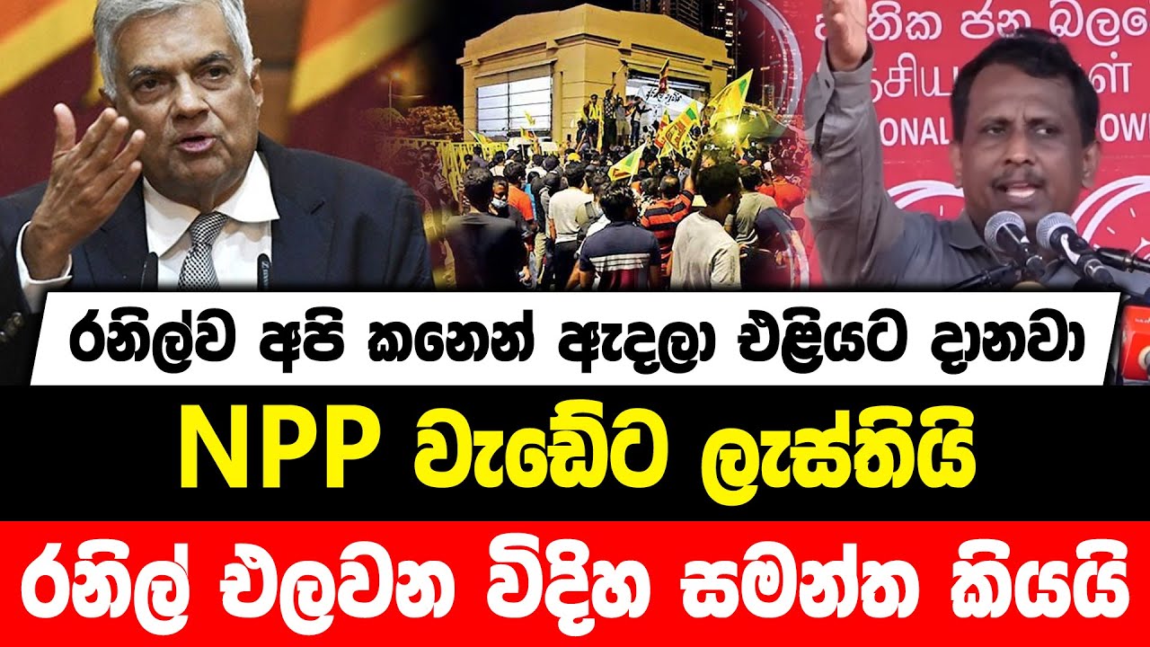 රනිල්ව අපි කනෙන් ඇදලා එළියට දානවා | NPP වැඩේට ලැස්තියි | රනිල් එලවන ...