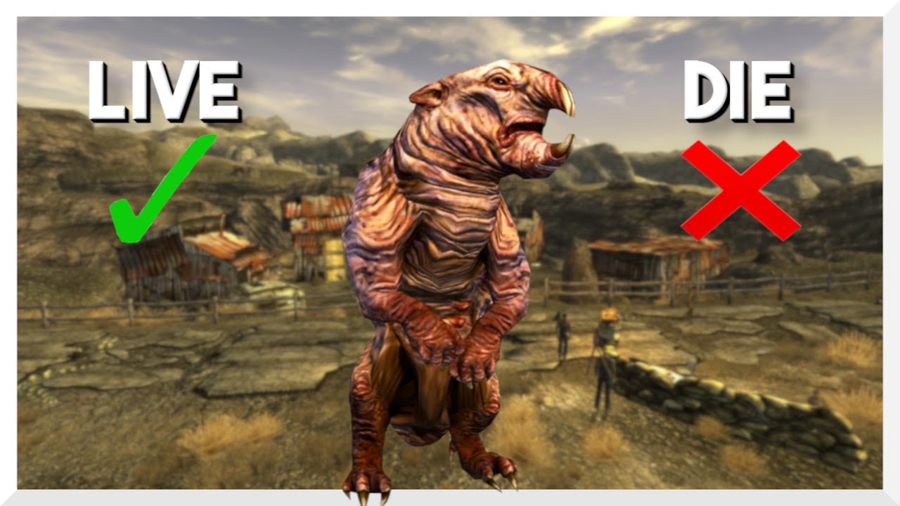 Should SNUFFLES Live in Fallout New Vegas - YouTube