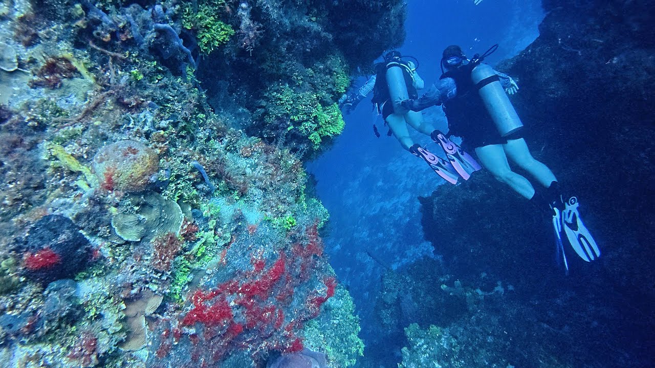 Cozumel Mexico Colombia Dive site Scuba Diving 4k - YouTube