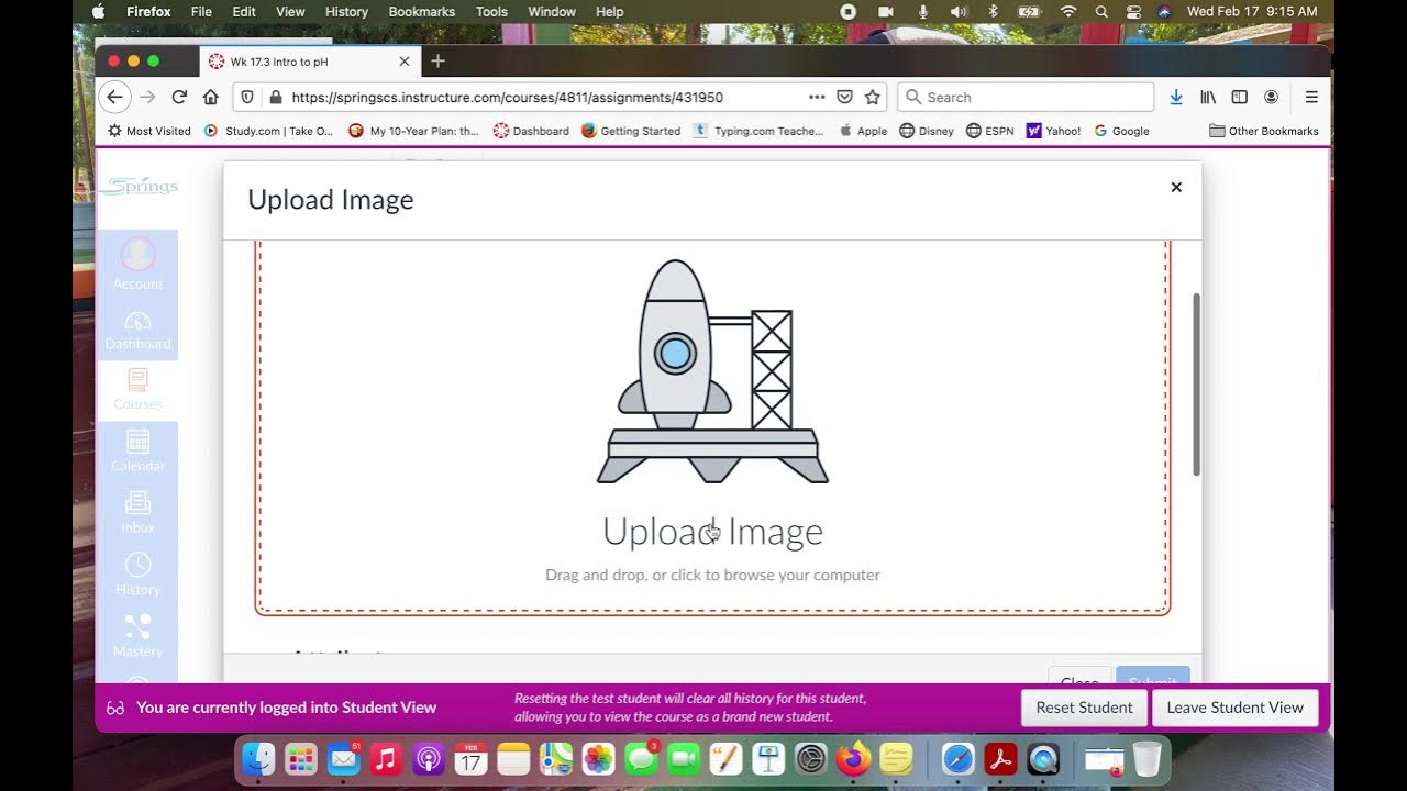 Submitting screenshots to Canvas in textbox entry - YouTube