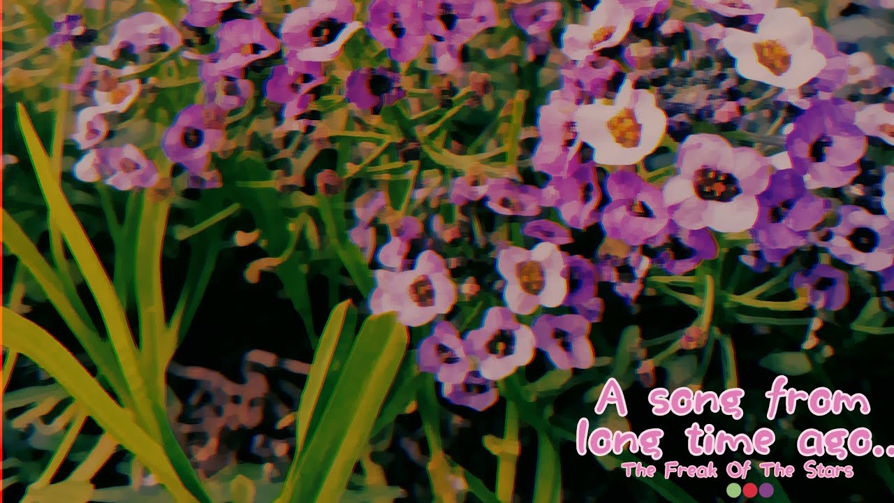a song from long time ago - YouTube