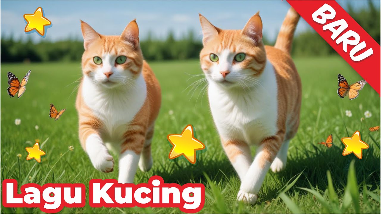 KUCING COMEL ANAK , SUARA KUCING BESAR , KUCING LUCU BIKIN KAGET ...