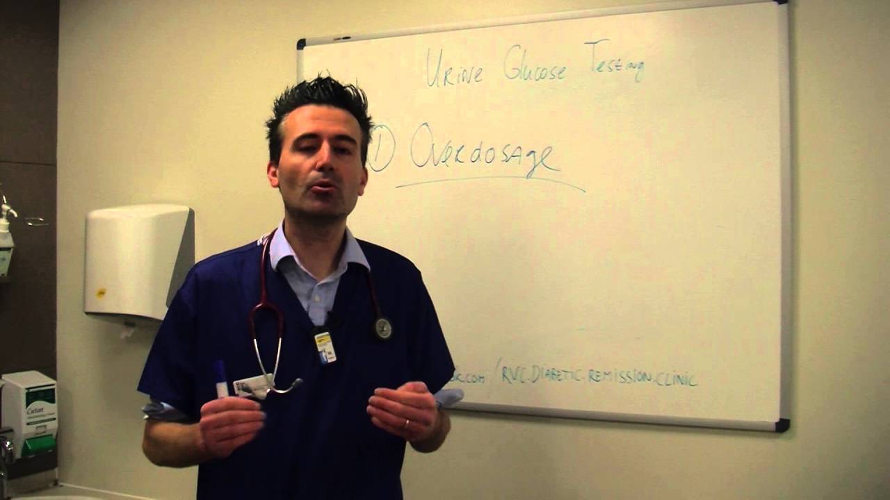 Urine Glucose testing in diabetic pets - Dr Stijn Niessen explains ...
