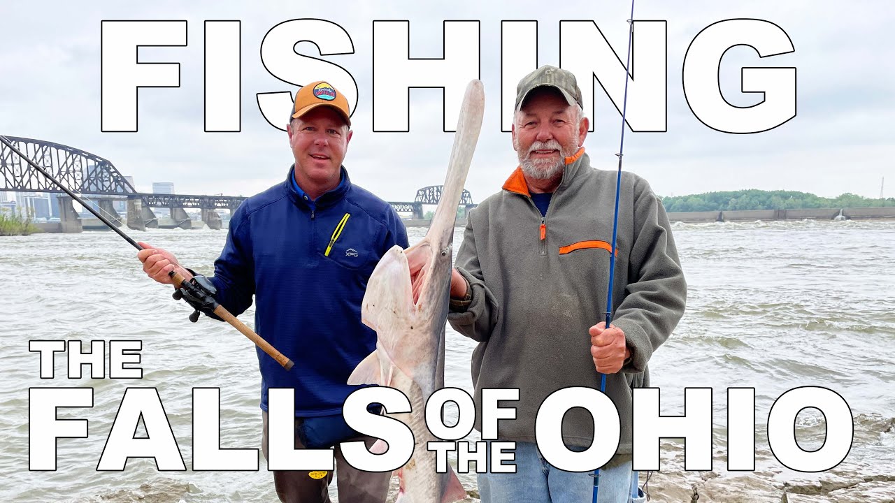 Four Species of Fish at the Falls of the Ohio - YouTube
