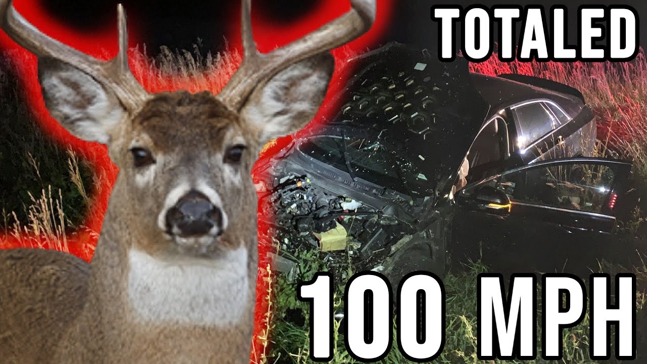 I hit a deer going 100 MPH... and TOTALED my Lincoln MKZ + New Car ...