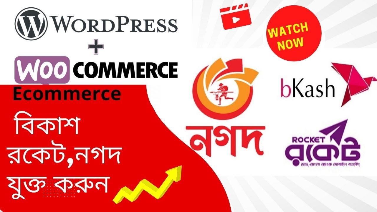 How to Add Bkash, Nagad, Rocket Payment Geteway in WordPress website just 1 click - YouTube