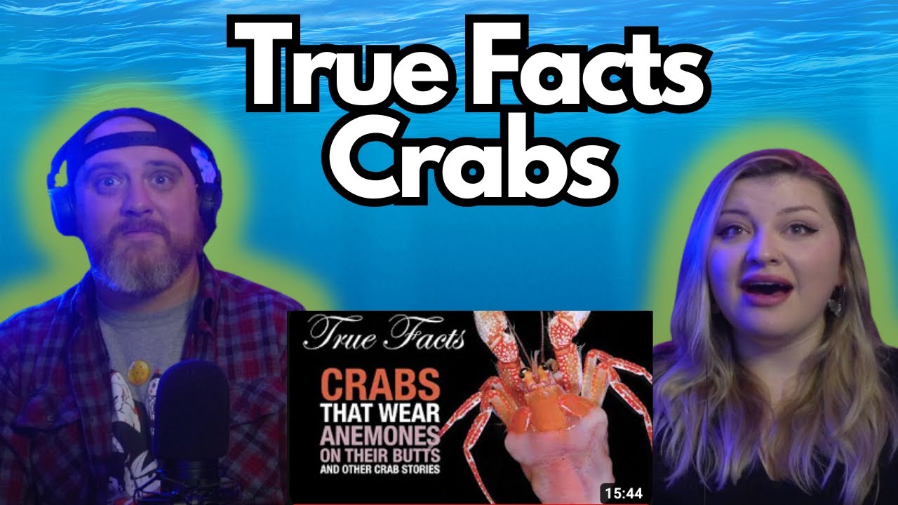 True Facts: Incredible Crab Stories @zefrank | HatGuy & @gnarlynikki React - YouTube