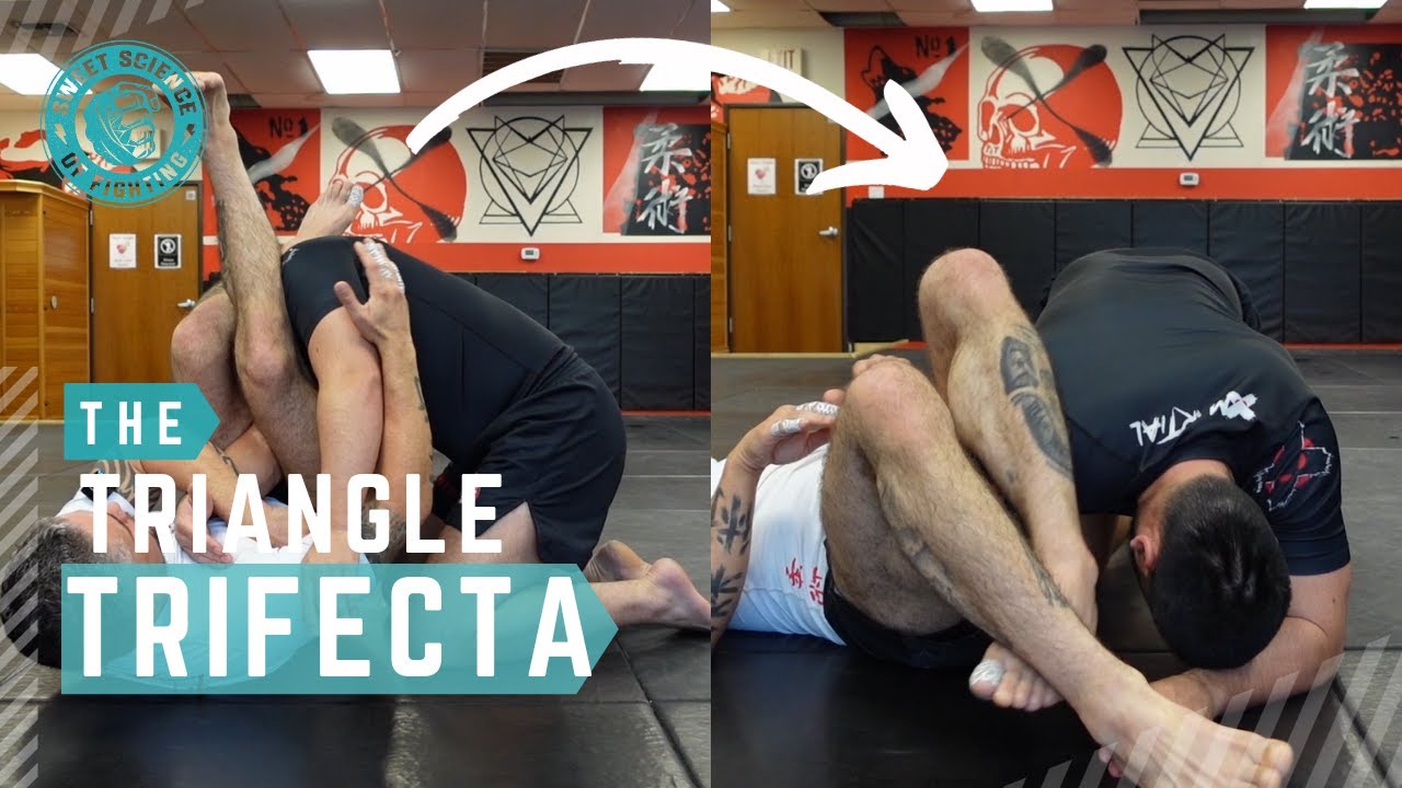 The Triangle Trifecta: 3 Submissions You Always Have From The Triangle ...