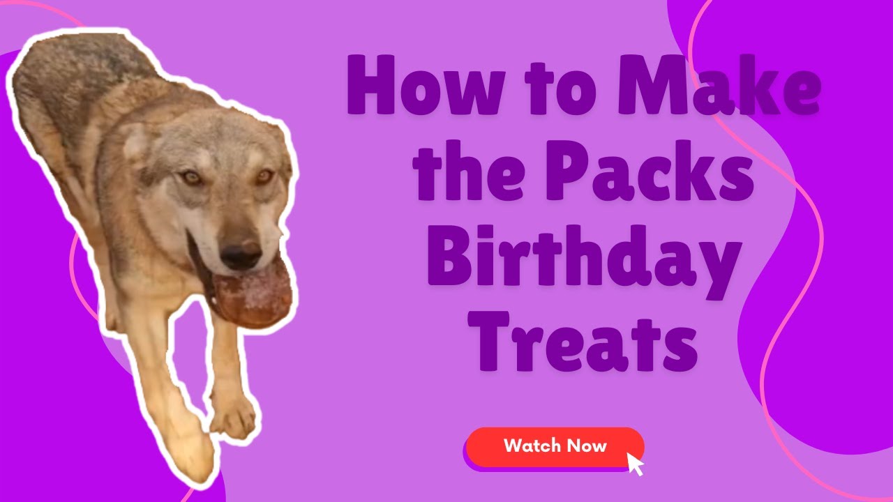 How to Make the Packs Birthday Treats - YouTube