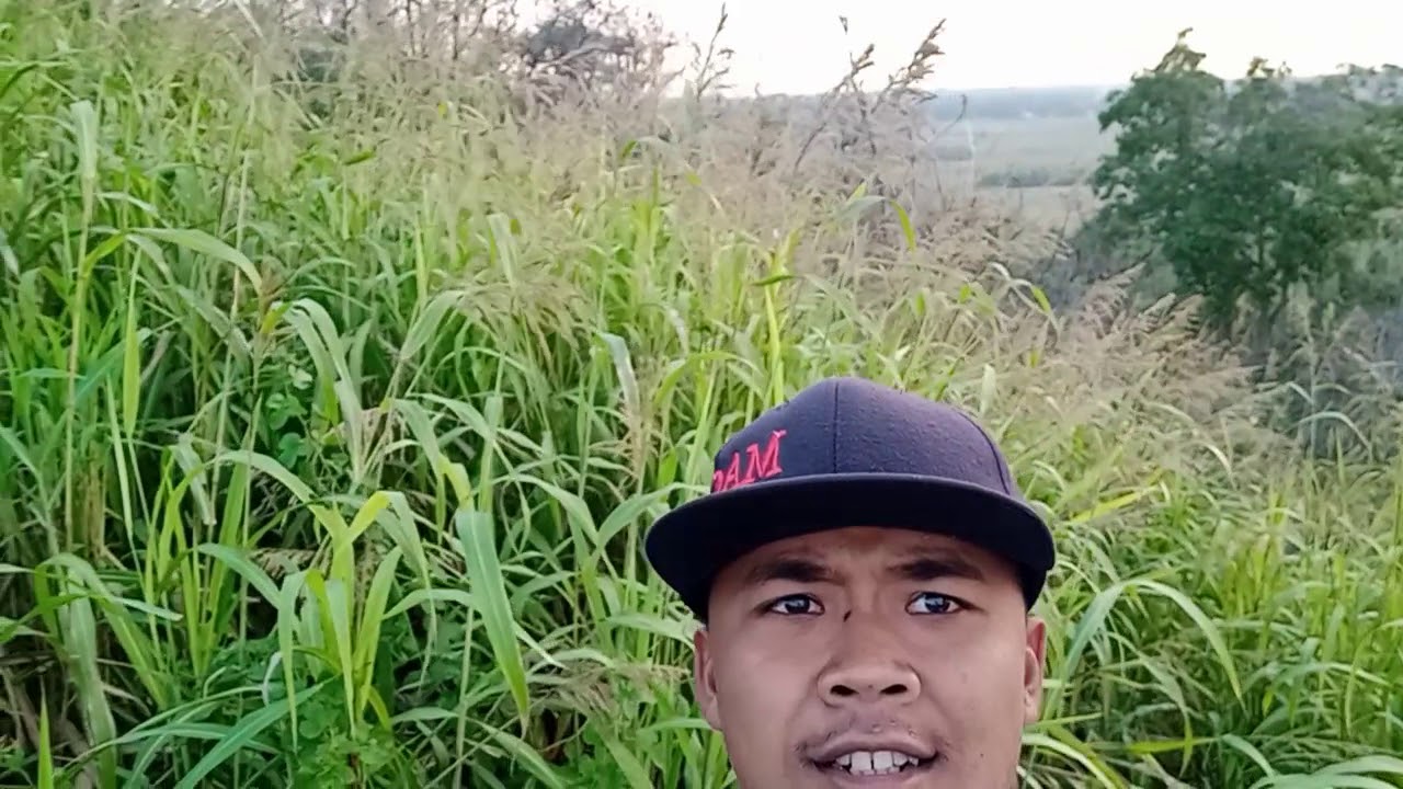 Indahnya puncak gunung subaim_subaim city(kota sejuk) - YouTube