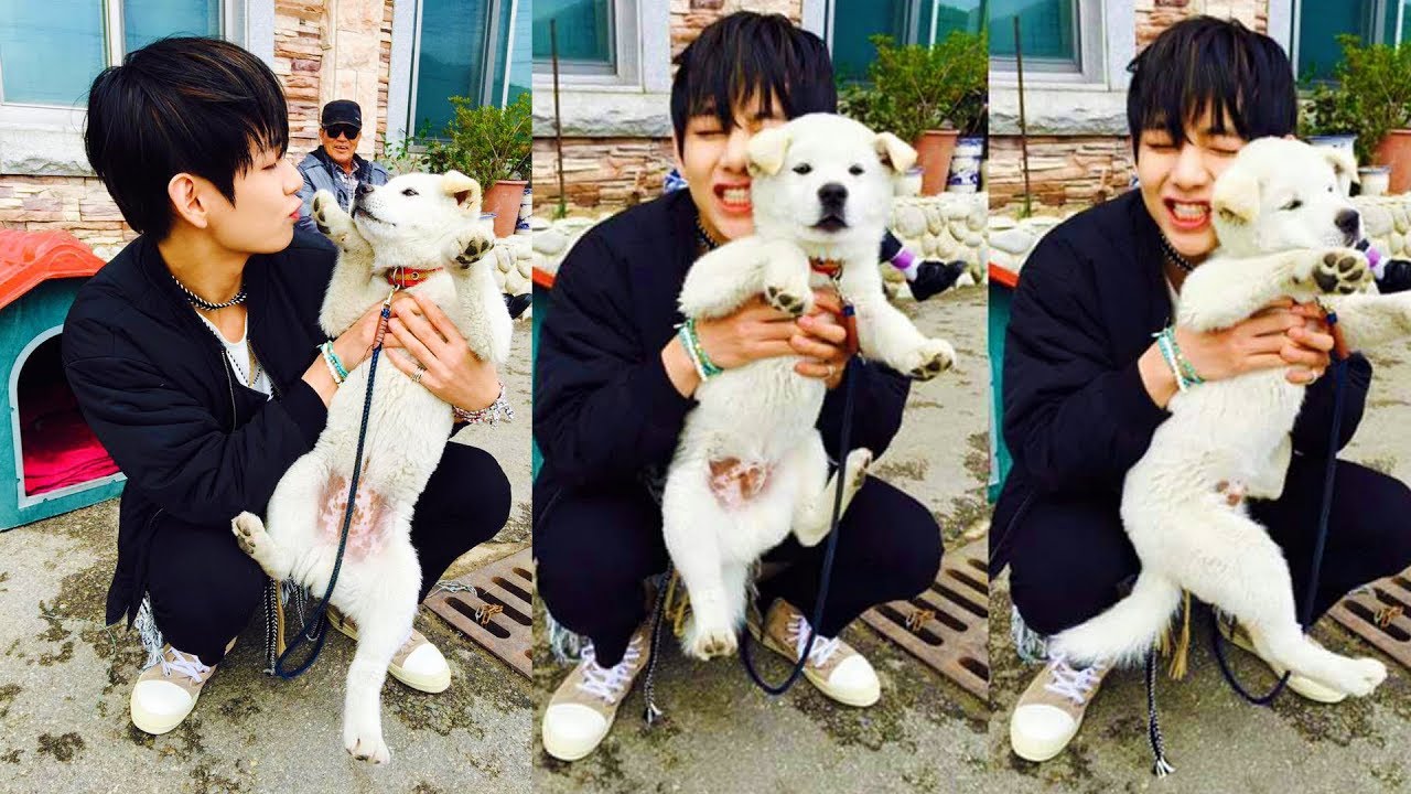 BTS as Parents ️💜 - YouTube