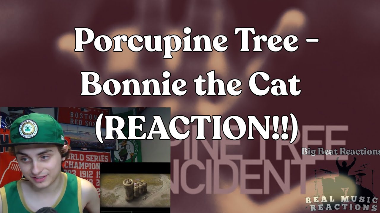 FIRST TIME HEARING!! Porcupine Tree - Bonnie The Cat (REACTION!!) - YouTube