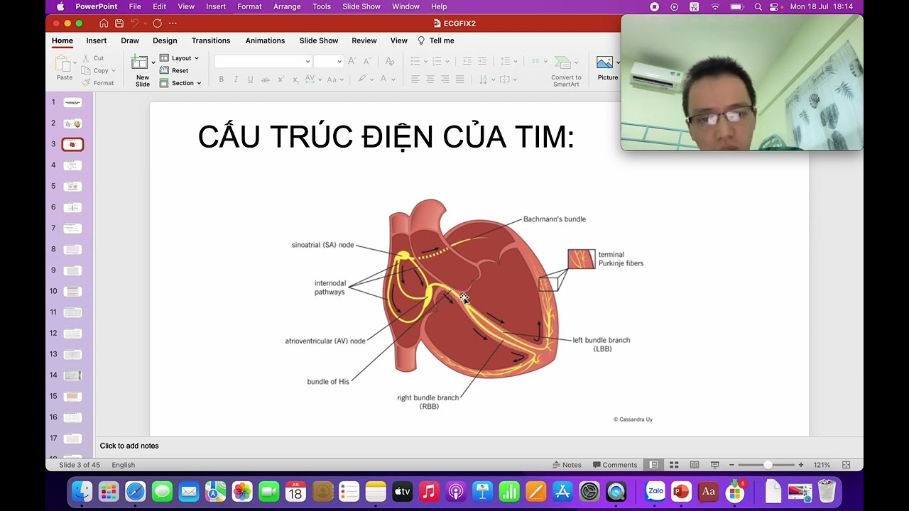 Đọc Điện tâm đồ(ECG): video 2: cấu trúc hệ thống điện của tim - YouTube