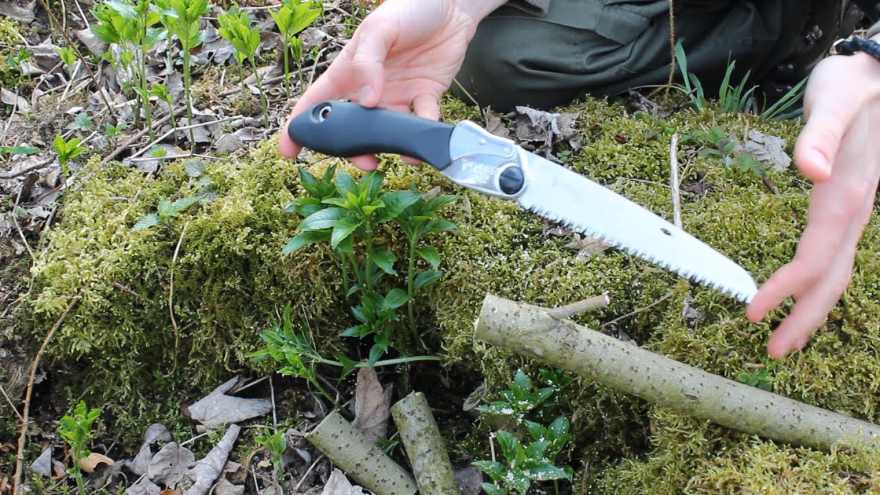 Silky Pocketboy - Review - YouTube