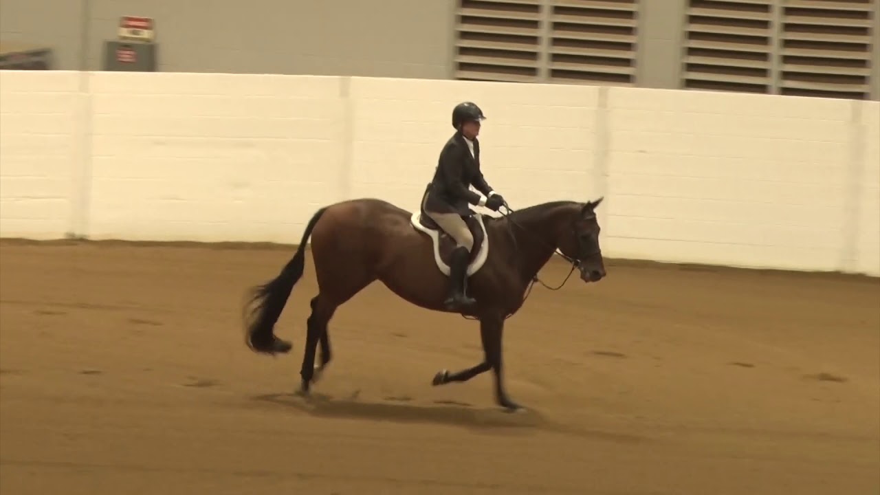 191014 Amateur Select Equitation Over Fences Kathy Carpenter on ...