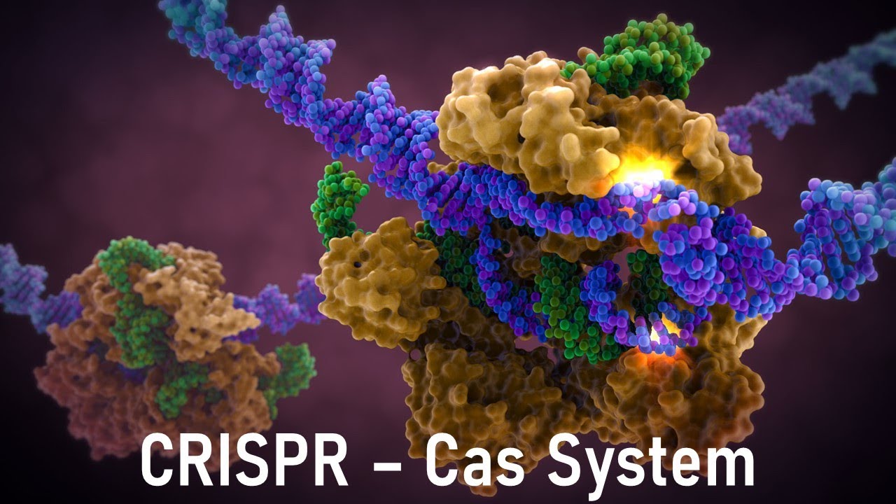 CRISPR Cas System - Technology, Mechanism, Applications and Trends in ...
