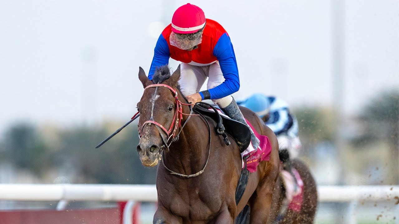 RM 29 Al Rayyan Race 5 - Lehwaila Cup - YouTube