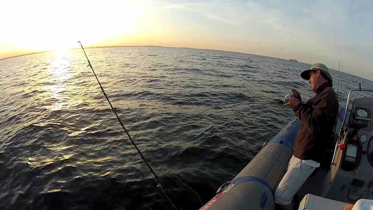 Xzoga Taka-Ji 6312 & Accurate BX400XN | Jigging Ligero | Light Jigging ...