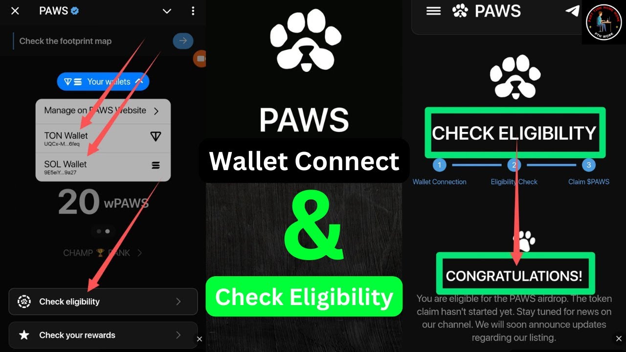 PAWS How to Connect Multiple Wallet & Check Eligibility PAWS মাল্টিপল ...