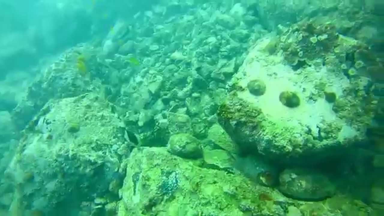 paua diving - YouTube