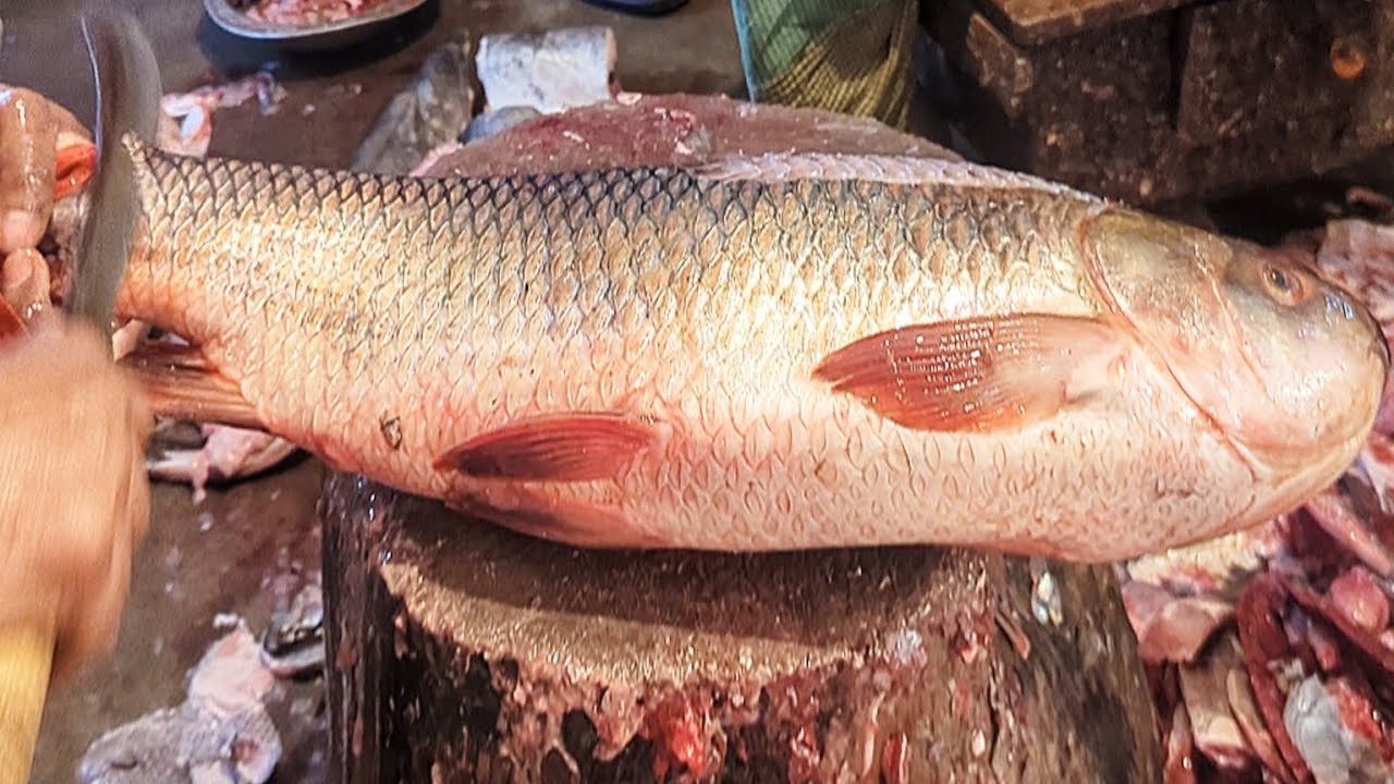 Amazing Giant Rohu Fish Cutting By Expert Fish Cutter || Unbelievable ...