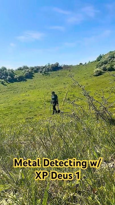 Metal Detecting Deus 1 #metaldetecting #detectiemetale #nature #fyp #xp #xpdeus #treasure # ...