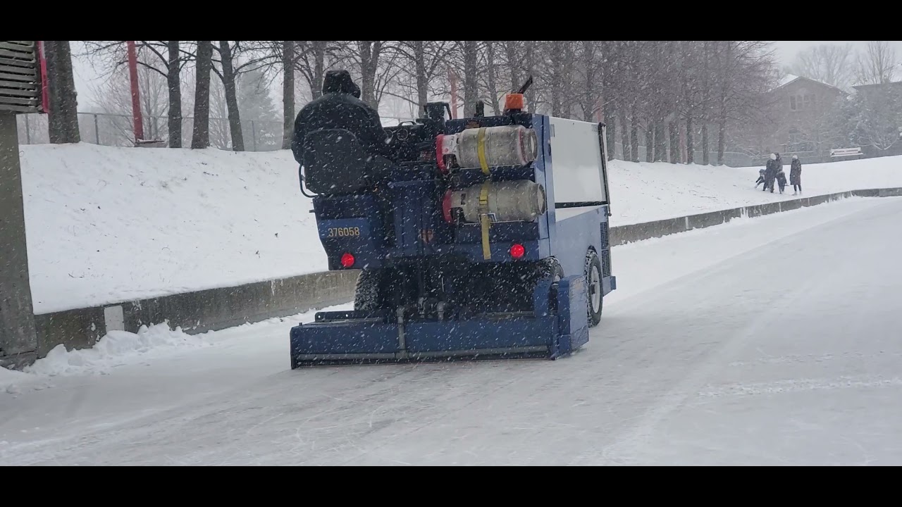 ZAMBONI AT LEDBURY TORONTO - YouTube