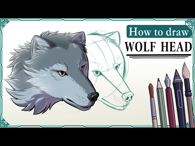 Wolf Face Drawing Tutorial 40+ Cartoon Of A A Wolf Face Stock Videos