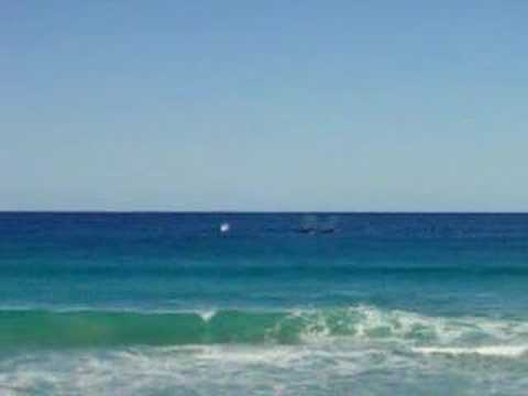 Whales Off Fraser Island (Waddy Point) 2007 - YouTube
