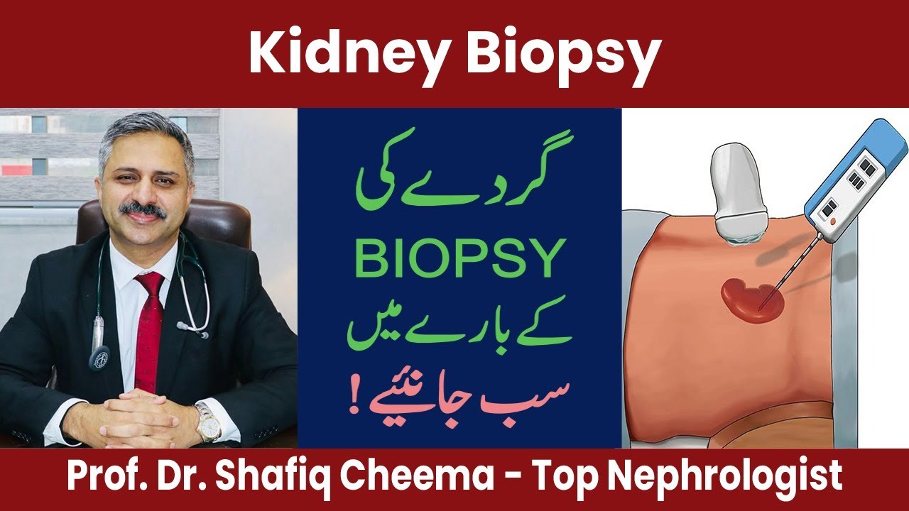 Kidney Biopsy Indications, Procedure & Complications - YouTube