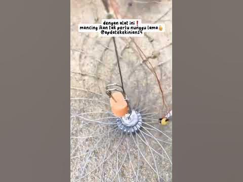 hobi mancing wajib punya inih👍#mancing #hobi #hobimancing #contentcreator #shorts - YouTube