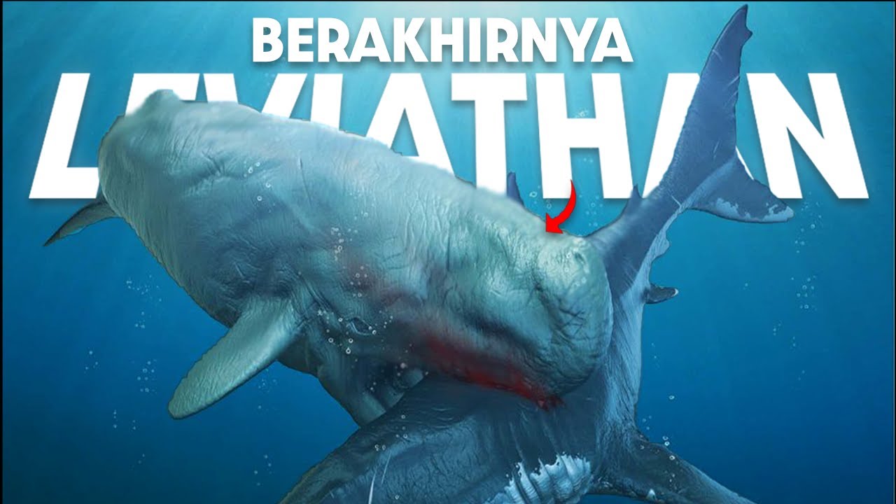 Bagaimana Paus Purba Ini Bisa Mengalahkan Megalodon? | # ...