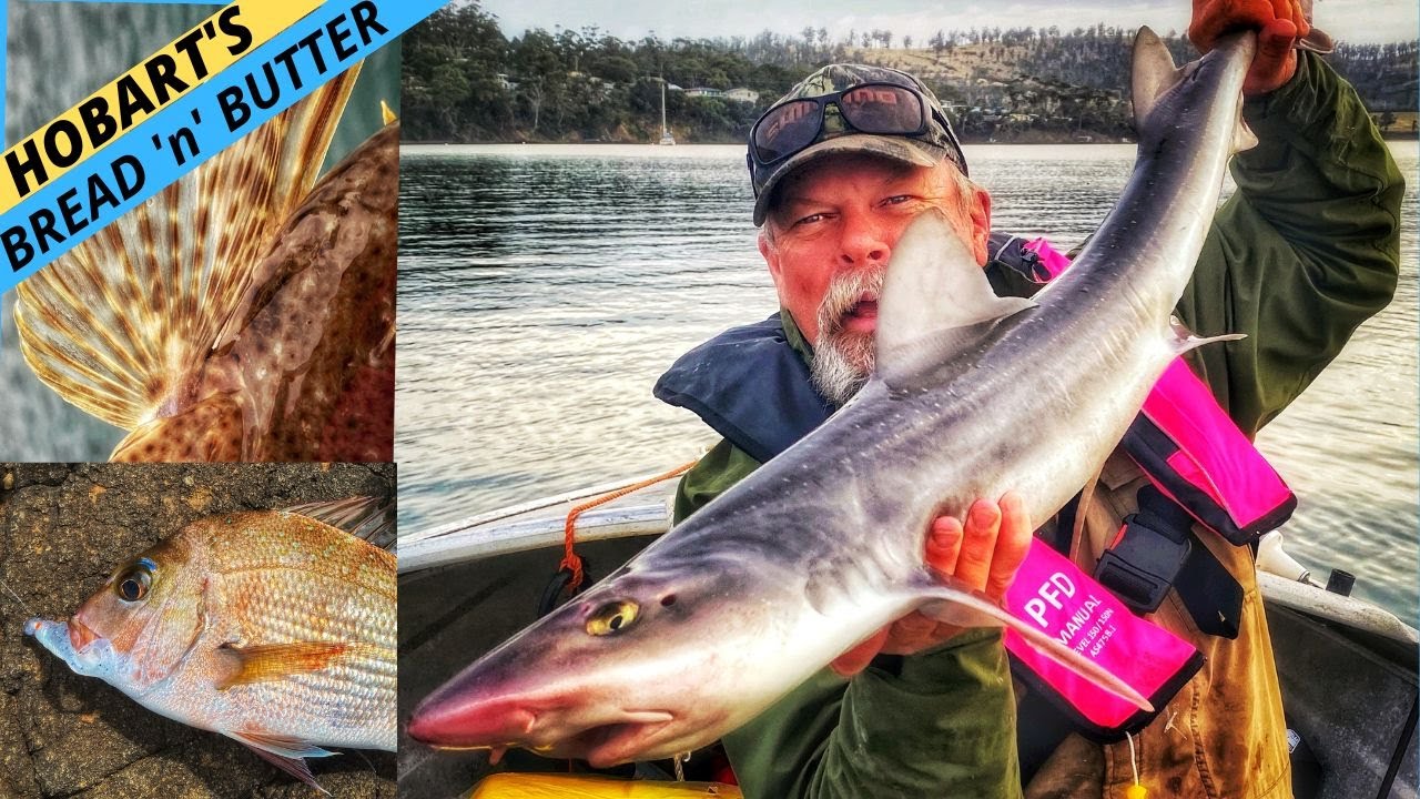 CATCHING A MEAL OF FISH ON HOBART'S DOORSTEP With Rory Muller - YouTube