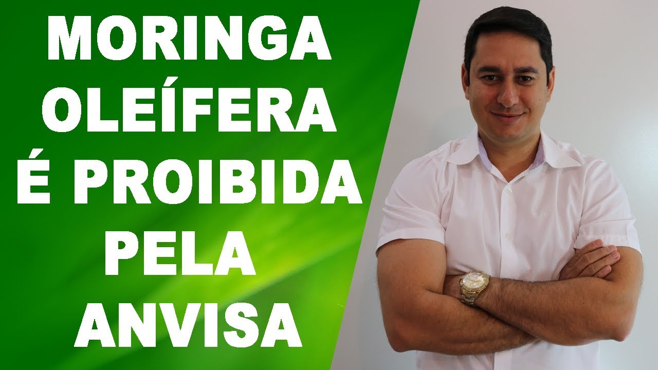 MORINGA OLEÍFERA É PROIBIDA PELA ANVISA - YouTube