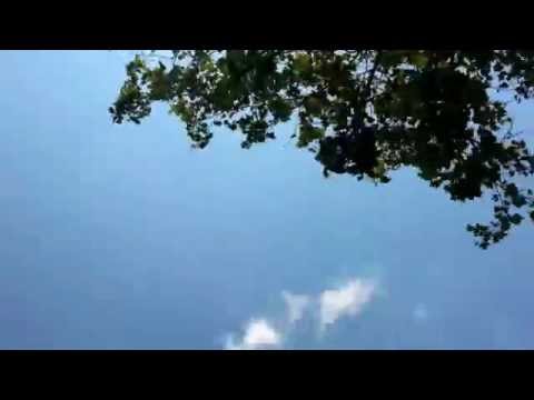 Bulutlar ve Çınar Time-Lapse