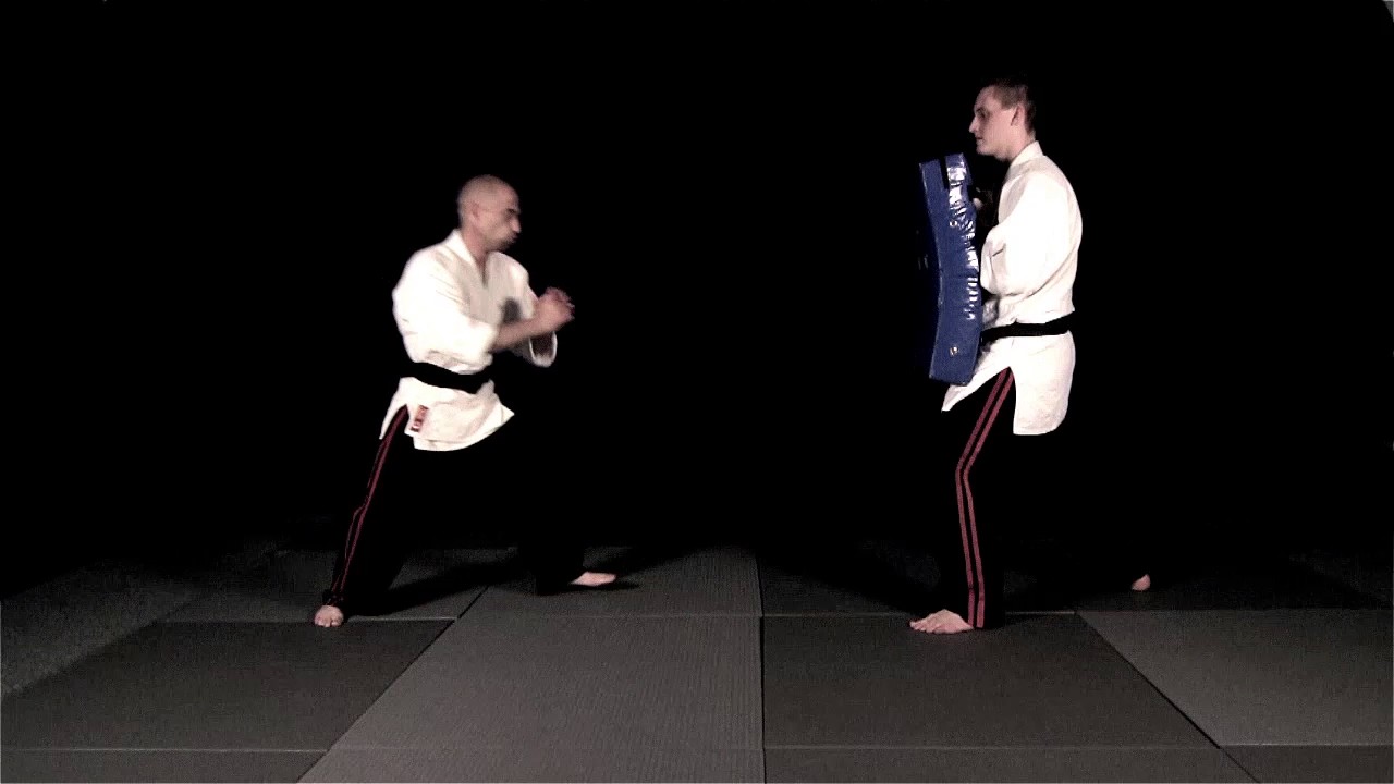 140 Right hand side push kick yellow - YouTube