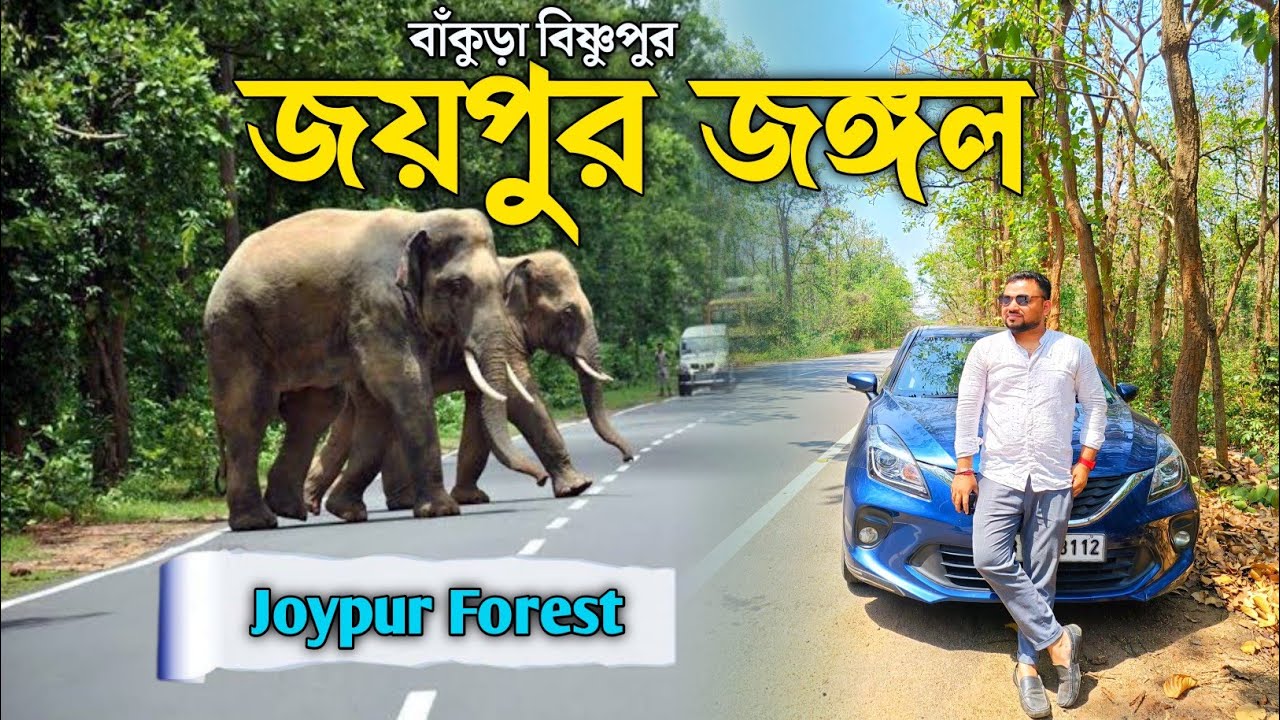 Joypur Forest Bankura | Kolkata to Bankura Joypur Jungle | Joypur Jungle | Banalata resort ...