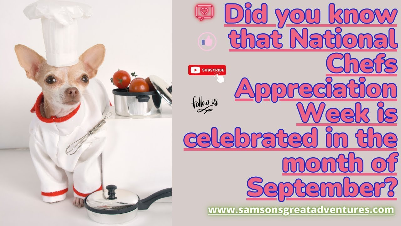Chef Appreciation Week 2023 | Cooking Video | Funny & Cute Dog Cooking ...