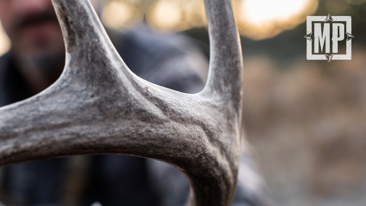 North America Deer Slam - Mexican Central Plateau Whitetail | Mark V ...