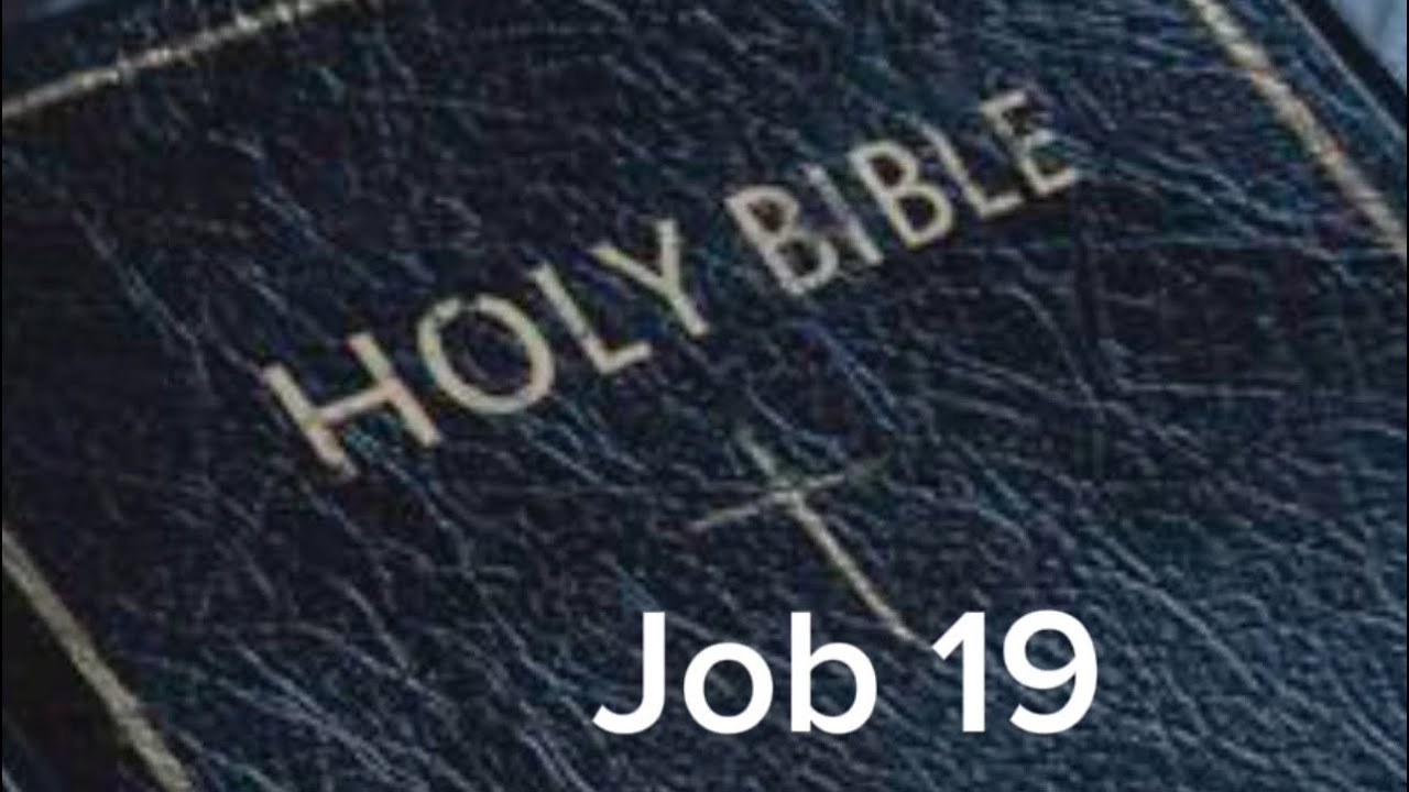 Job 19 (NIV) The Audio Bible - YouTube