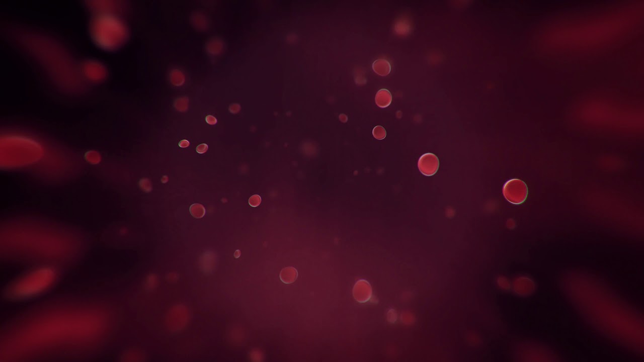Bloodstream: 30 minutes of 4K Motion Background Loop | Relaxing Motion ...