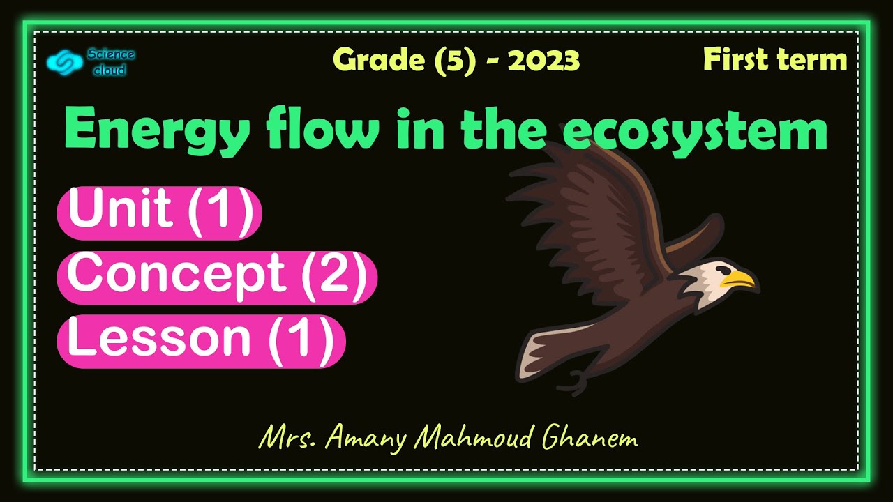 Grade(5) | [07] | Unit(1) - Concept (2) - Lesson (1): Energy flow in ...