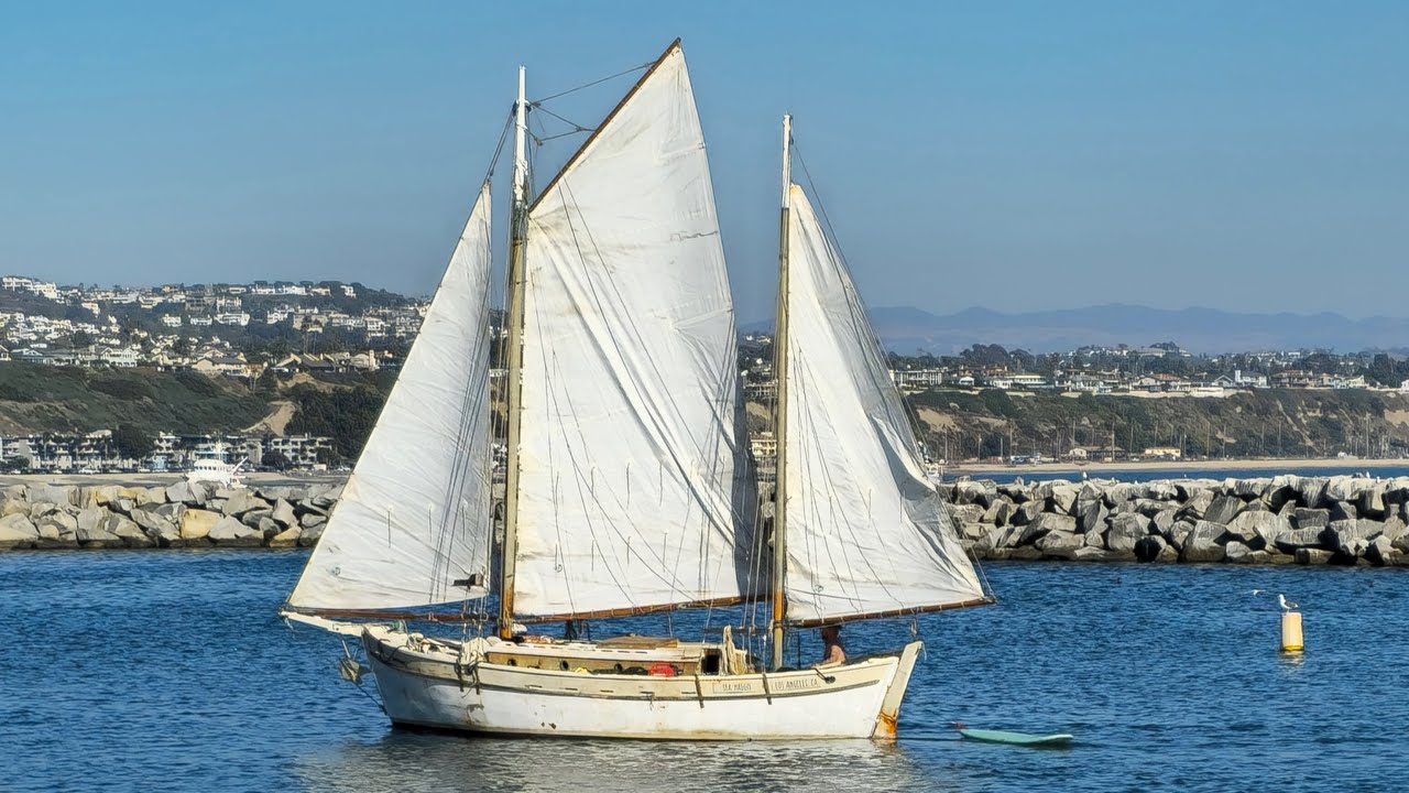 🔴 Friday Night LIVE Yacht Watching Dana Point Harbor Webcam - YouTube
